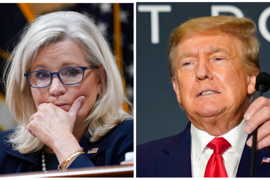 Down but not out: How Liz Cheney plans to be a thorn in Trump's side ...