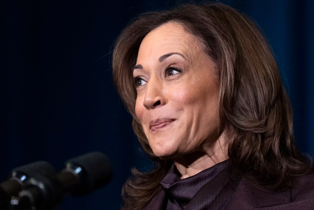 Chuck Todd says Harris would be in 'tough place' for California's 2026 ...